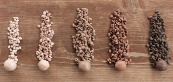 How to make a miniature garden path | Beneath the ferns